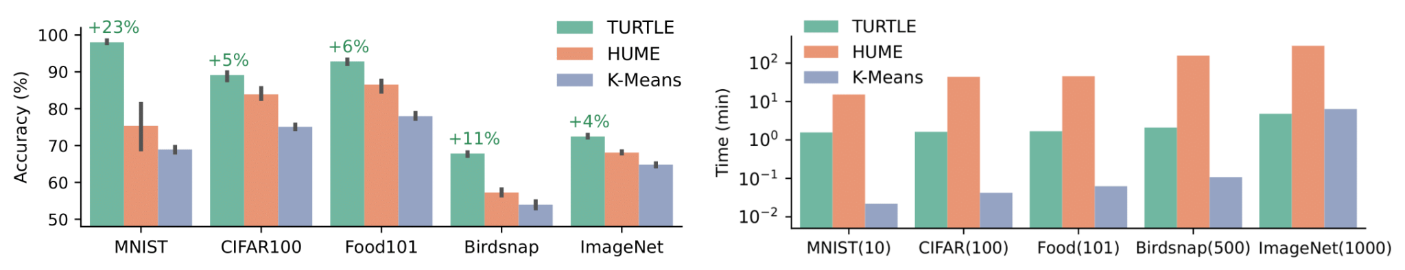 TURTLE - MARIA BRBIC LAB