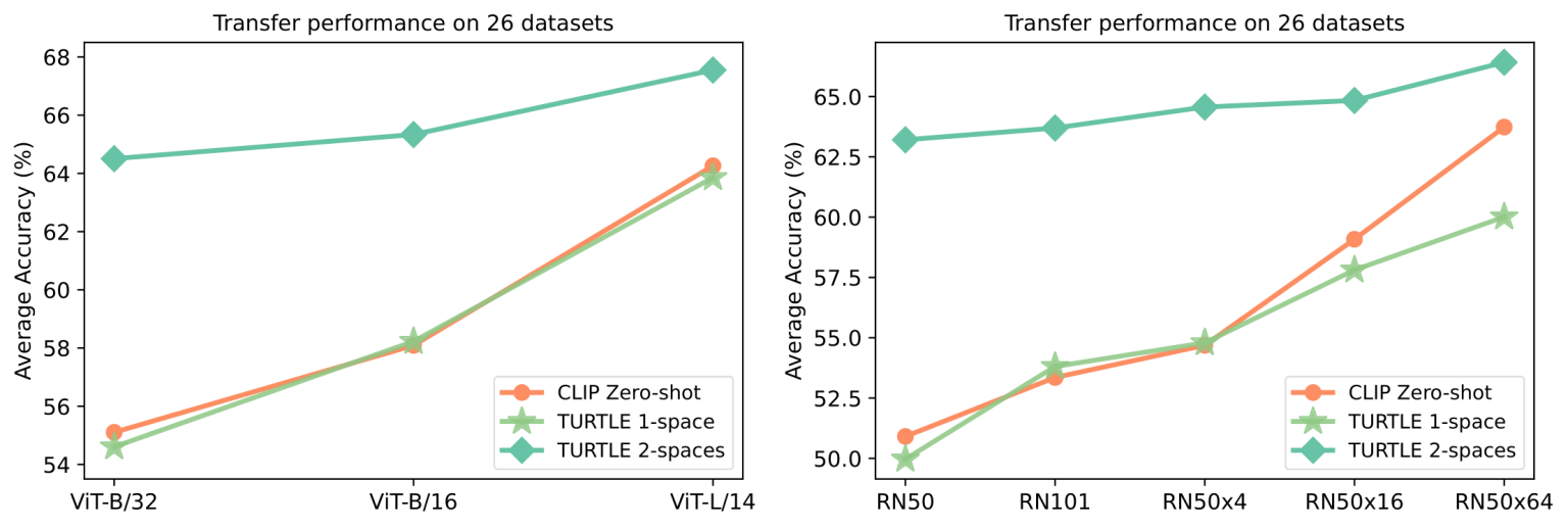 TURTLE - MARIA BRBIC LAB