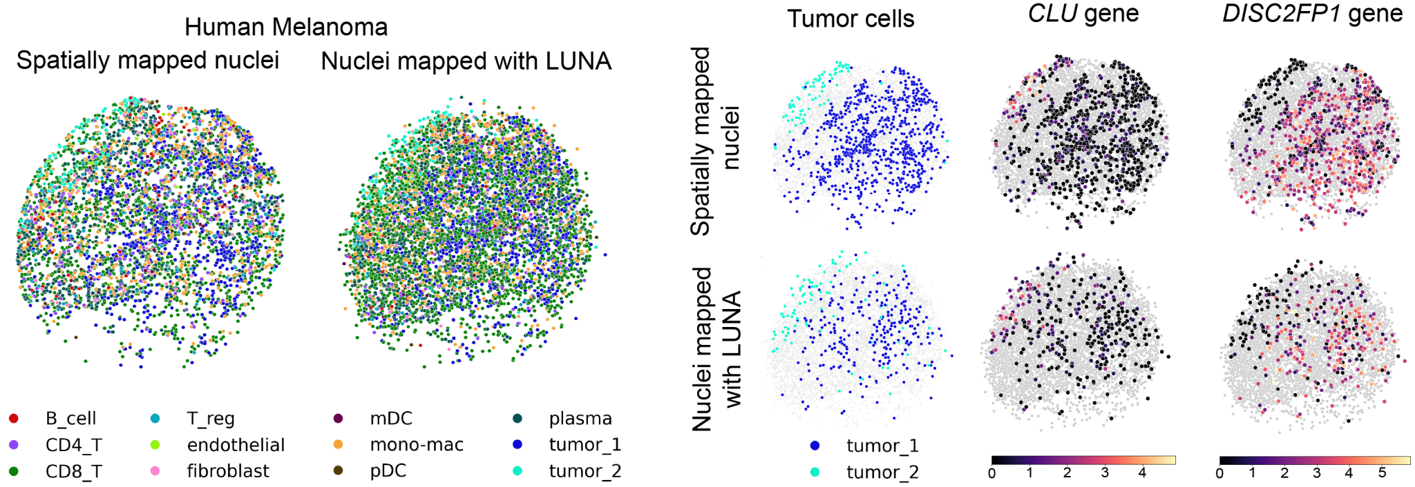 LUNA - MLBio Lab
